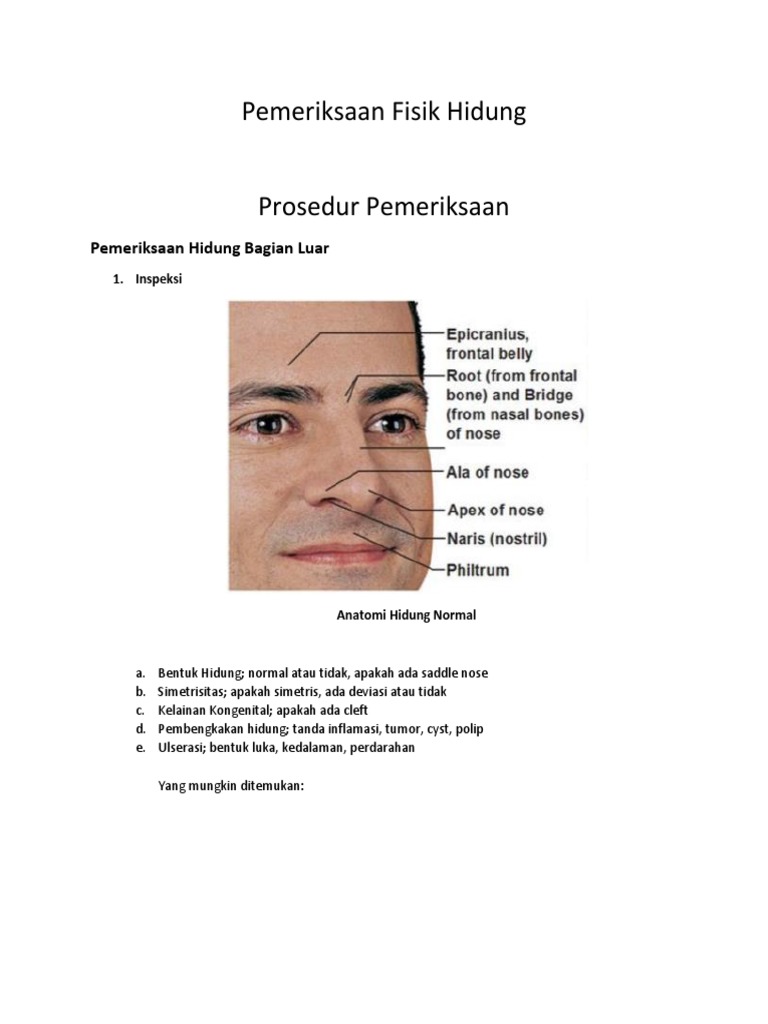 Pemeriksaan Fisik Hidung | PDF Pemeriksaan Fisik Hidung | PDF