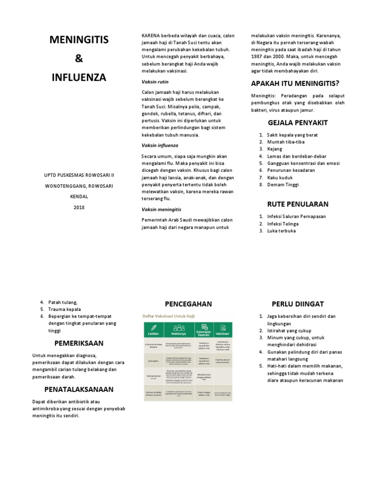 Leaflet Meningitis | PDF