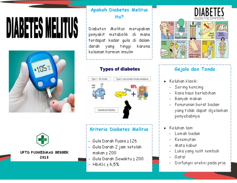 Leaflet Prolanis DM | PDF