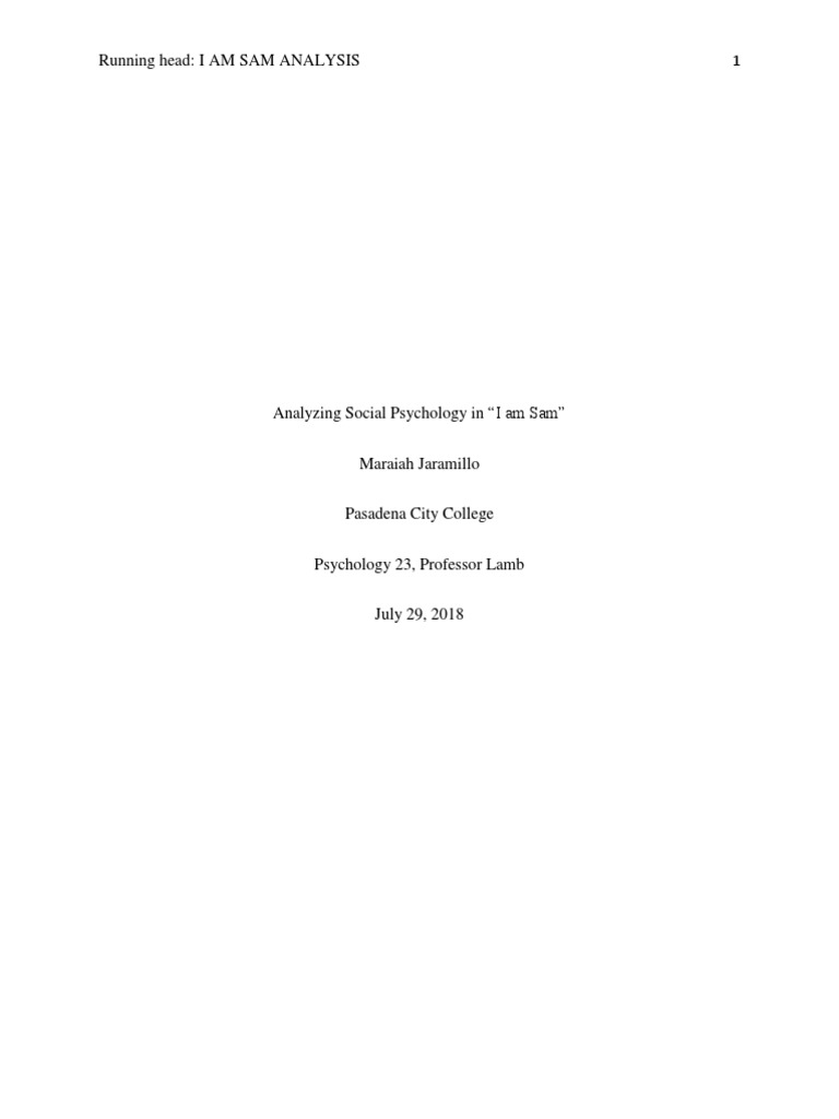 I Am Sam Analysis | PDF | Social Psychology | Child Custody