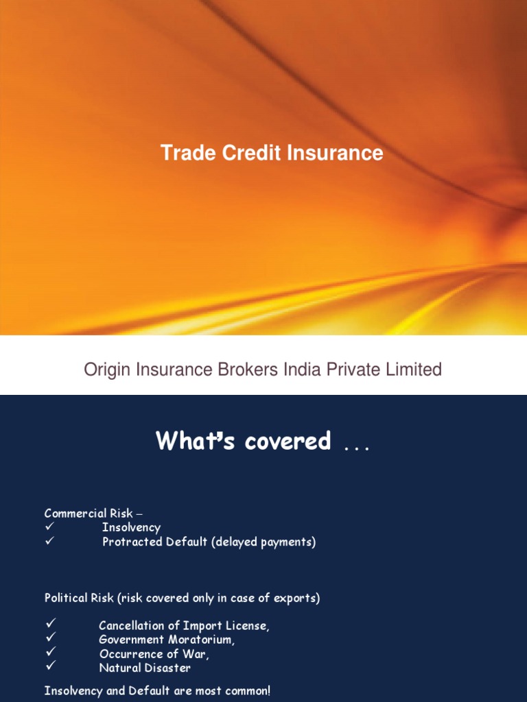 Credit Insurance PPT 1 | PDF | Bankruptcy | Credit