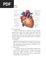 Tabel Origo dan Insersio Otot Manusia | PDF