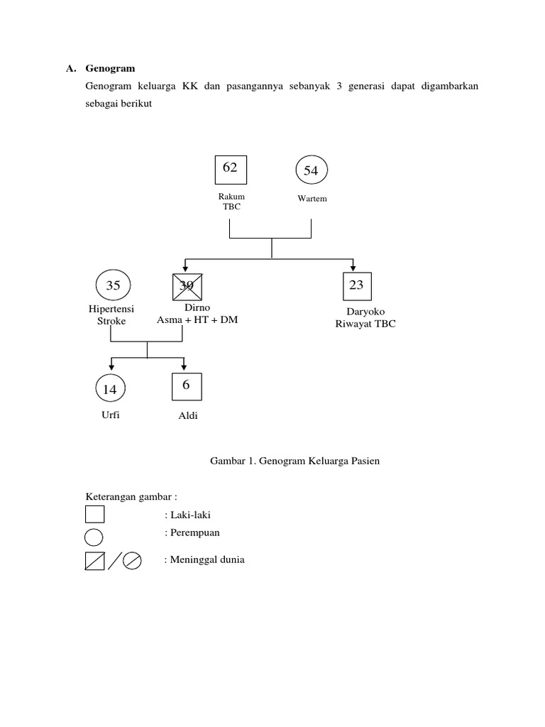 Genogram N Denah | PDF