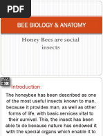 Beekeeping Training Manual | PDF | Honey Bee | Beehive