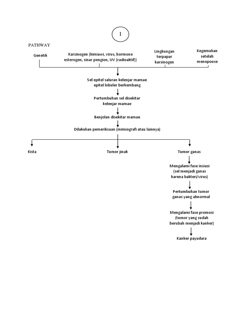 Pathway CA Mammae | PDF
