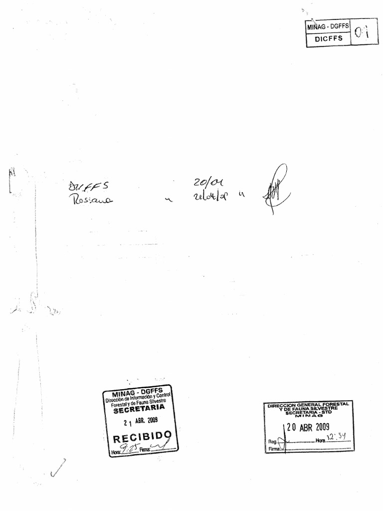 Exp. Otorgado de Maximo E. Flores Chamorro - Junin | PDF