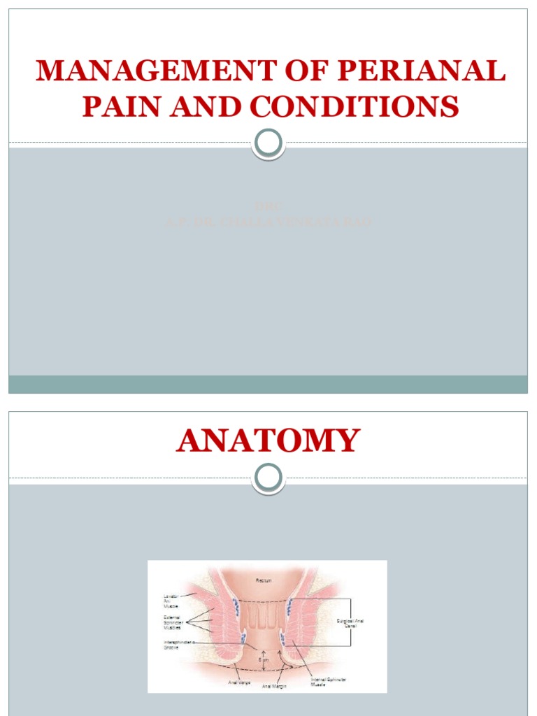 l8 Management of Perianal Pain and Conditions | PDF | Hemorrhoid ...