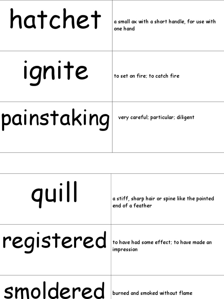 3 1 Hatchet Flashcards | PDF
