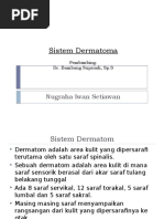 Peta dan Fungsi Dermatom Tubuh | PDF