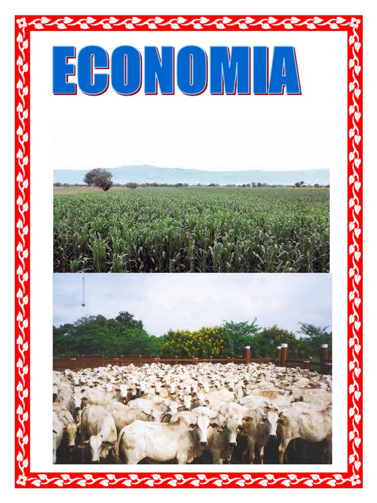 Reseña Del Distrito de Boqueron | PDF