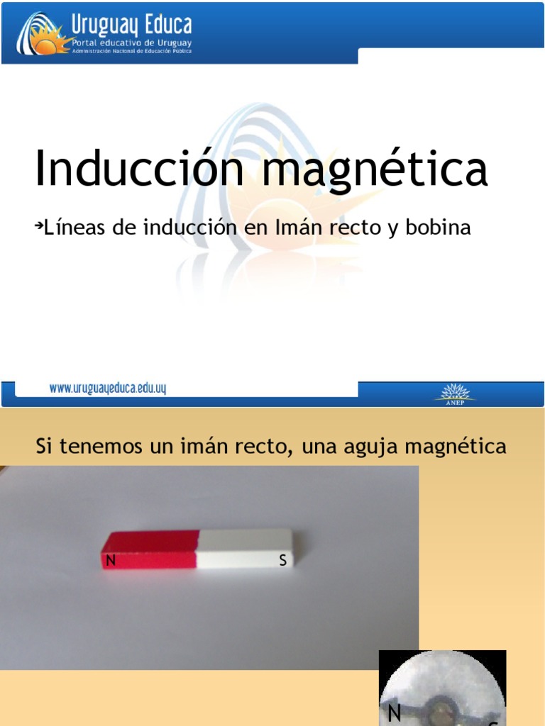 Inducción Magnética Líneas | PDF | Imán | Magnetismo