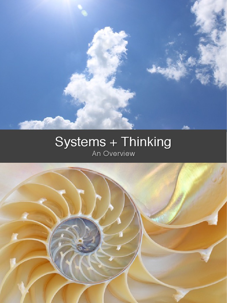 Systems Thinking Book Pdf Emergence System