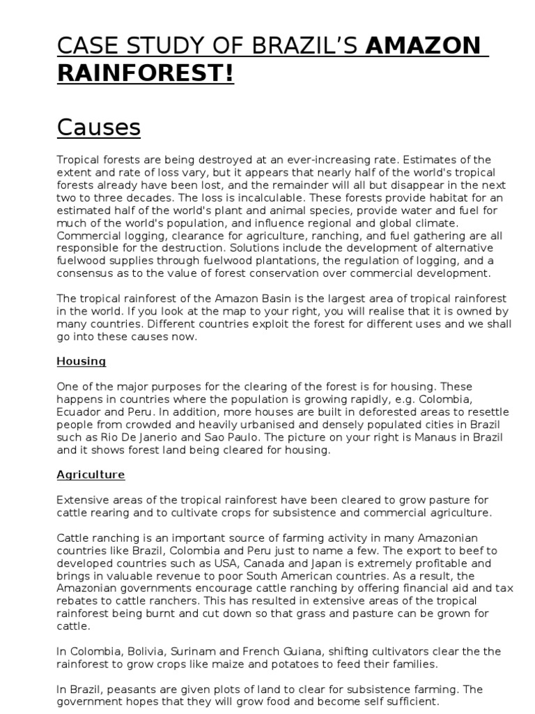 Case Study of Brazil | PDF | Rainforest | Amazon Rainforest