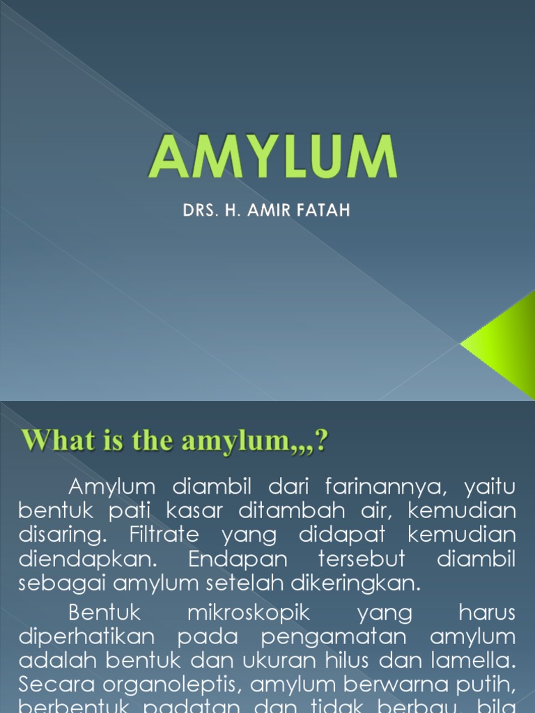 AMYLUM | PDF