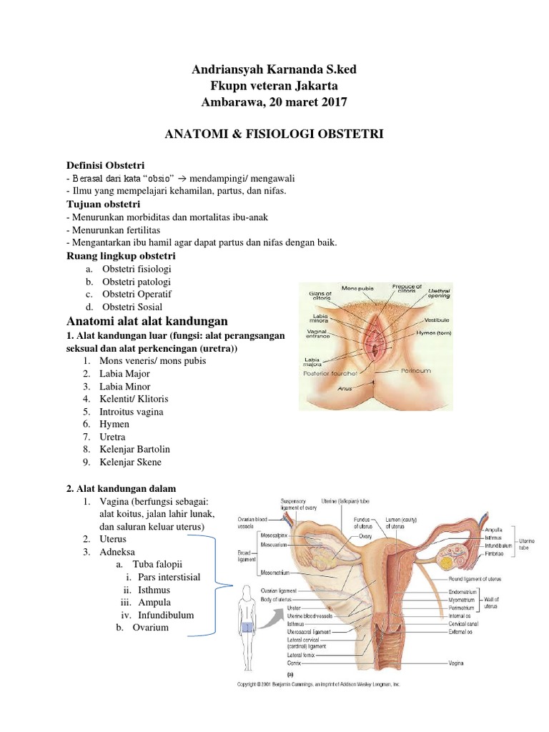 Ringkasan Obsgyn | PDF