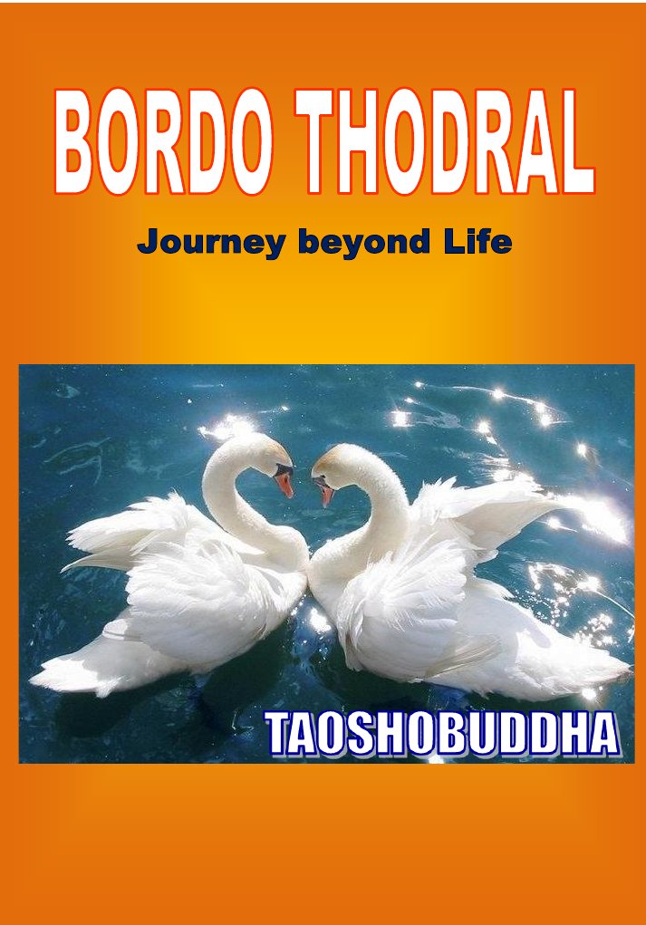 Bardo Thodral | PDF | Tibetan Buddhism | Reincarnation