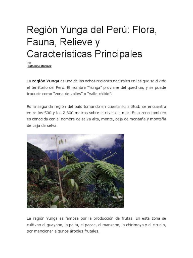 Flora y Características de la Yunga Peruana | PDF | Perú | Geografía Física