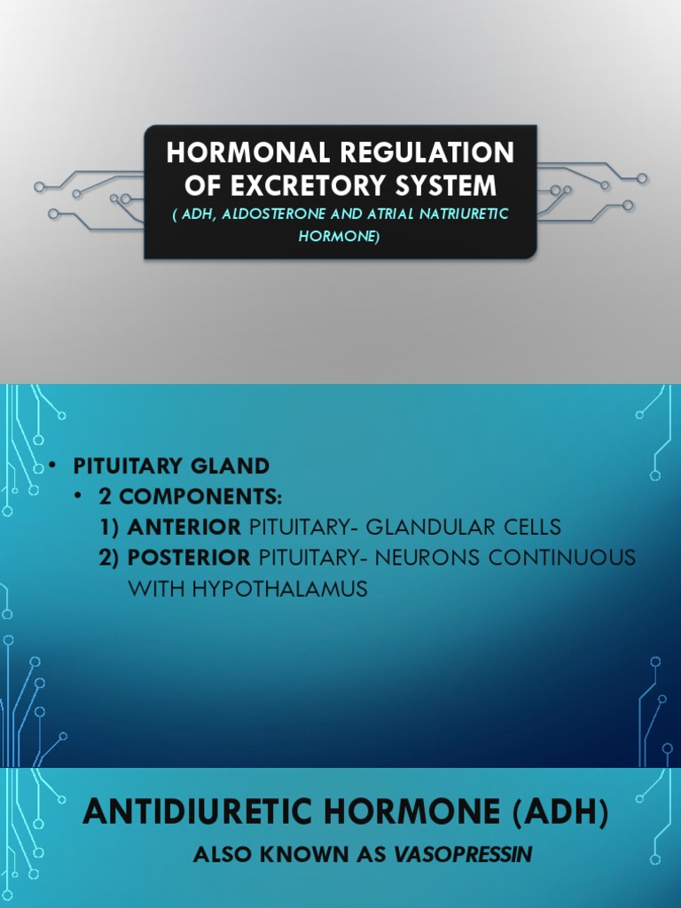 Hormonal Regulation of Excretory System: (Adh, Aldosterone and Atrial ...