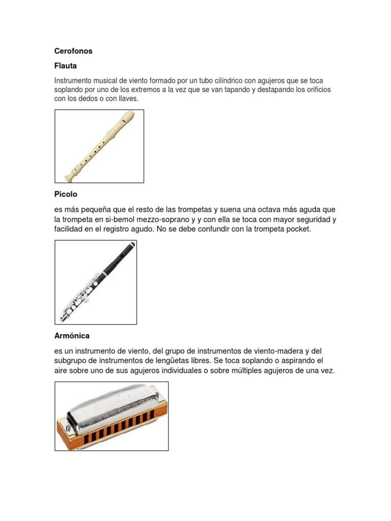 Tipos de Instrumentos Musicales | PDF | Viola | Guitarras