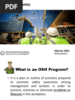 Osh Programming | PDF | Occupational Safety And Health | Health Care