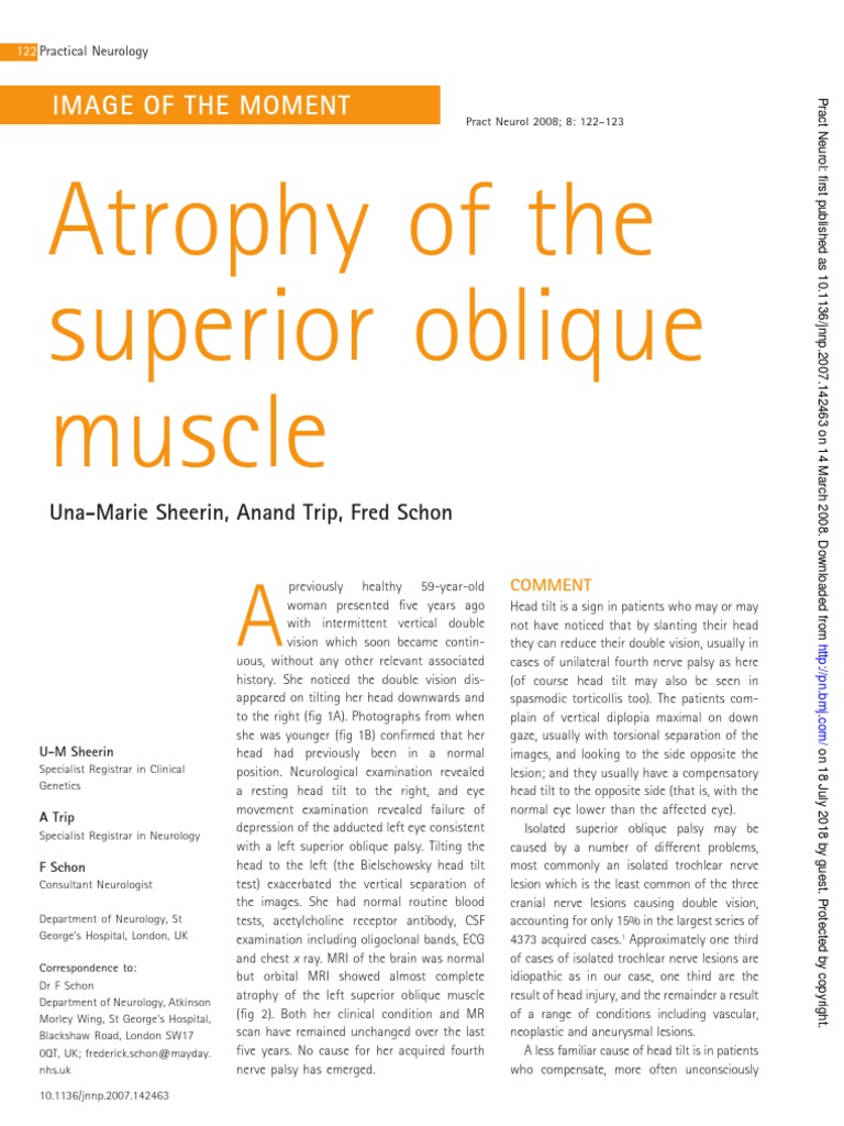 Atrophy of The Superior Oblique Muscle | PDF | Nervous System | Medicine