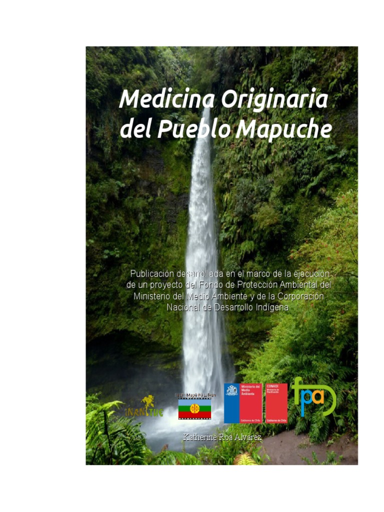 Medicina Originaria Del Pueblo Mapuche | PDF | Medicamentos con receta ...
