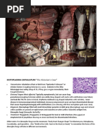 Microbiology Mnemonics | PDF | Bacteria | Gram Negative Bacteria