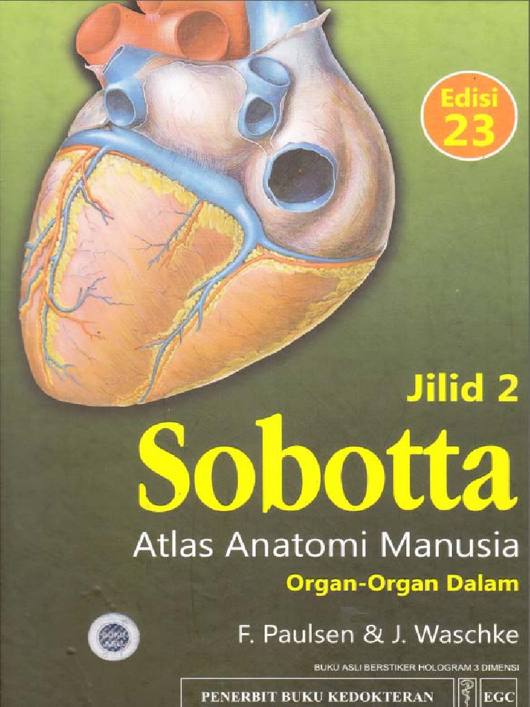 Cover Sobotta Atlas Anatomi Manusia Edisi 23 Jilid 3 | PDF