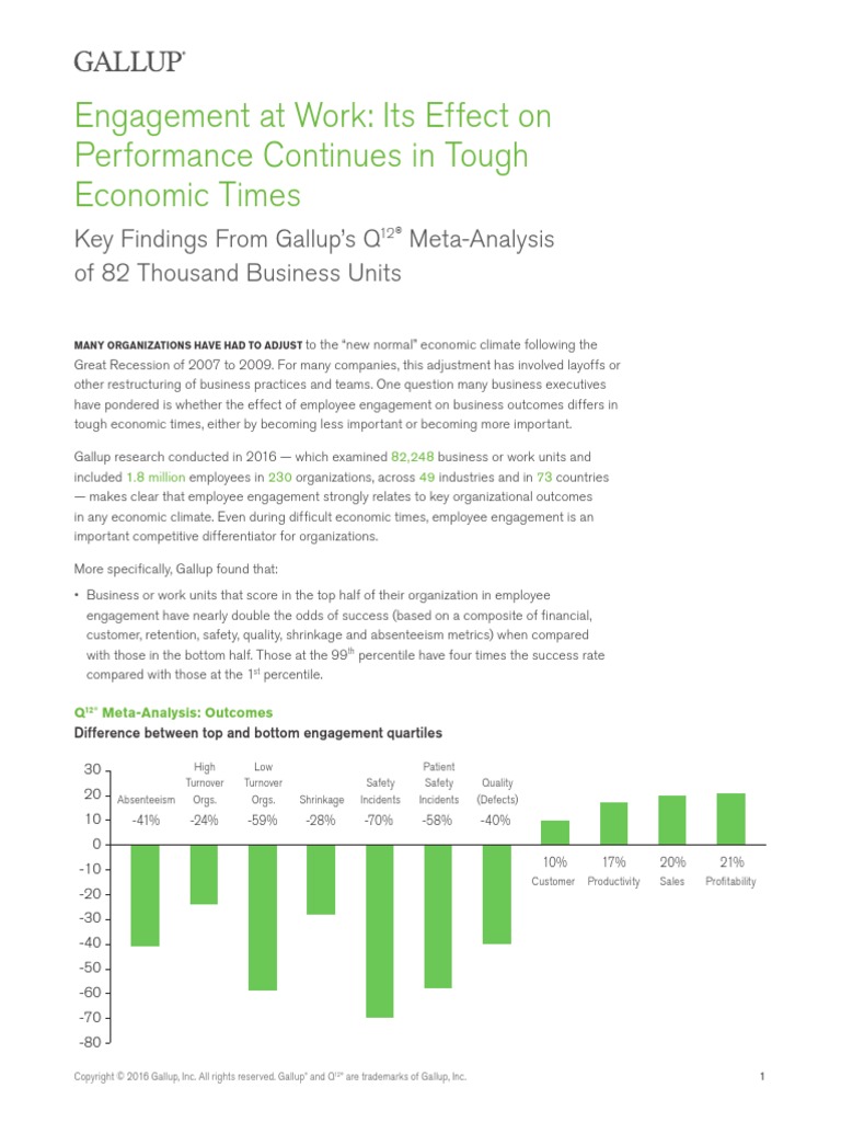 03 Gallup Q12 Research | PDF | Meta Analysis | Employment