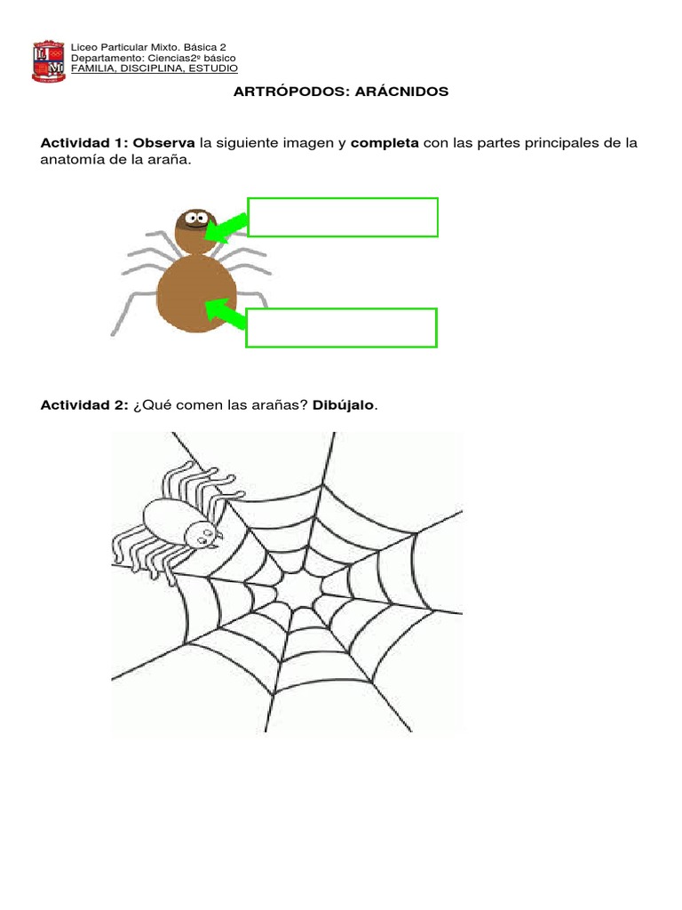 Actividades sobre Arácnidos para Niños | PDF | Ciencia y matemáticas