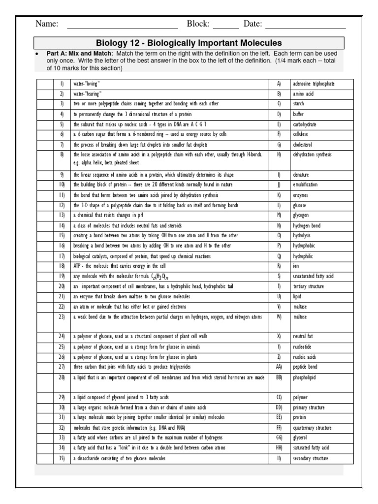 Biologically Important Molecules Study Guide PDF | PDF | Lipid | Fatty Acid