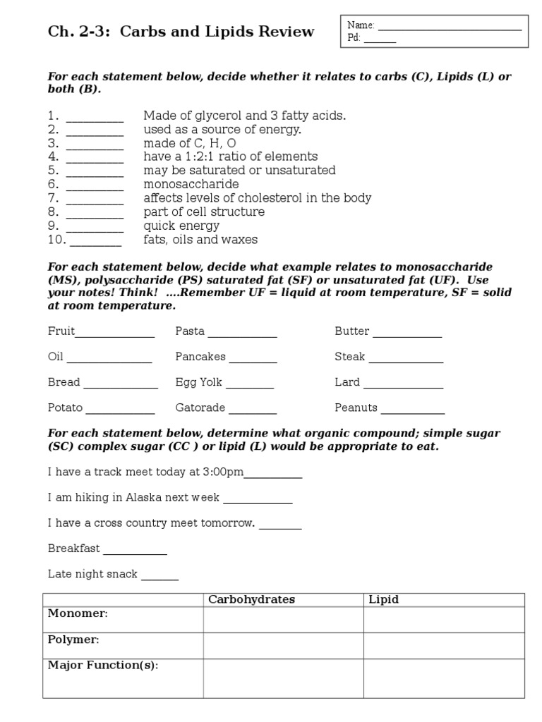 Carbs and Lipids Review | PDF