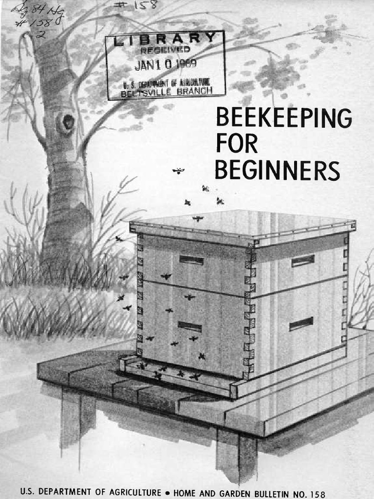 PDFbeekeepers For Beginners | PDF | Beehive | Beekeeping