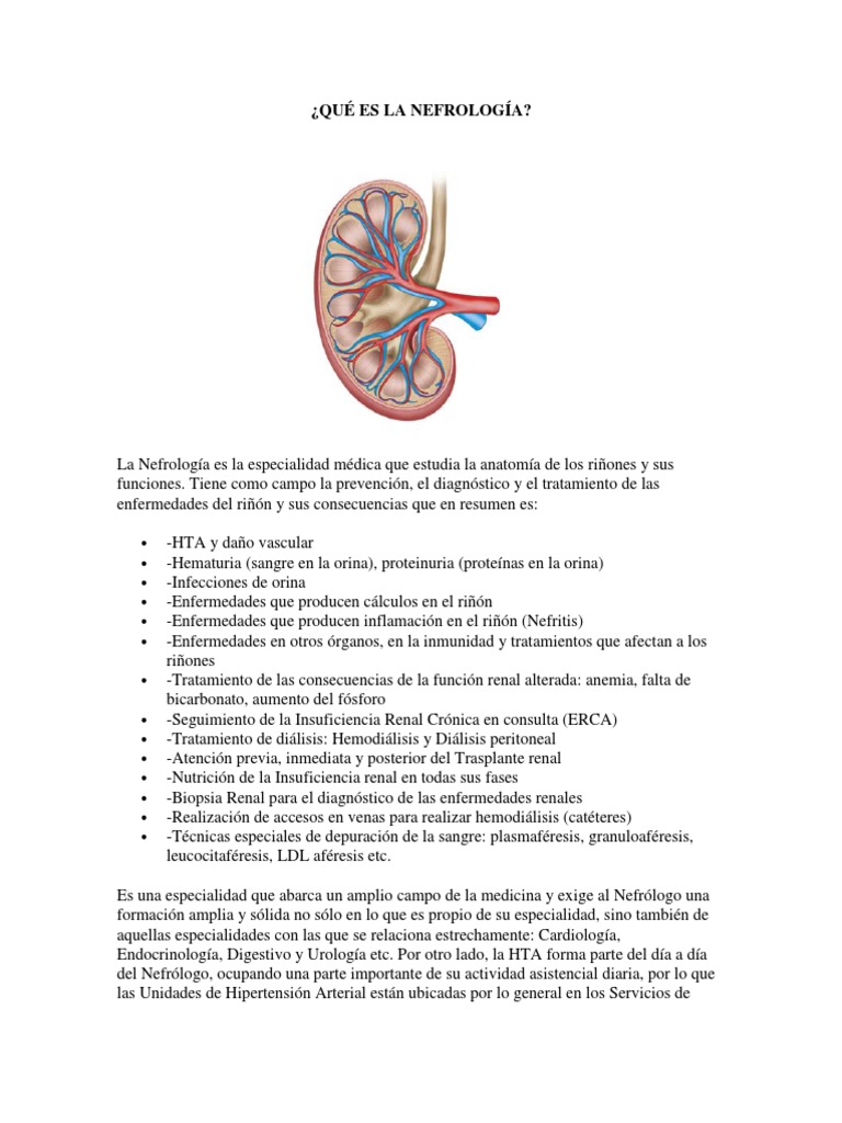 Qué Es La Nefrología | Nefrología | Diálisis