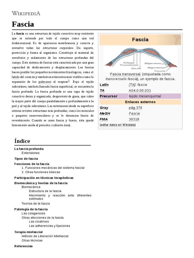 Fascia | PDF | Tejido (biología) | Anatomía
