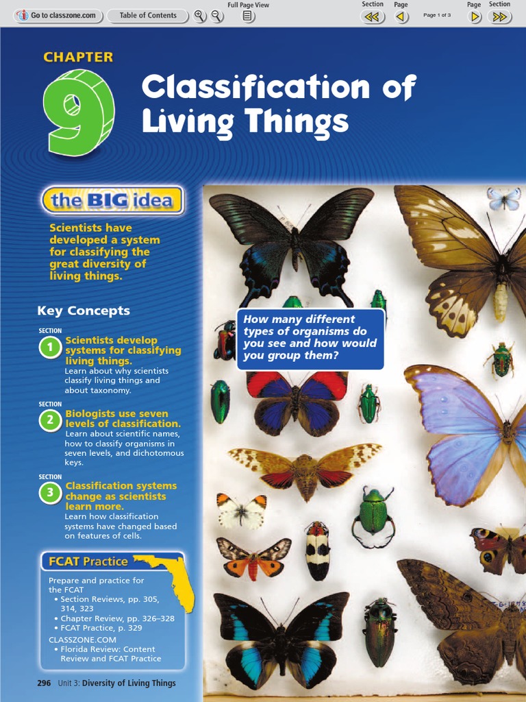 0 Chapter 9 Classification PDF | Download Free PDF | Taxonomy (Biology ...