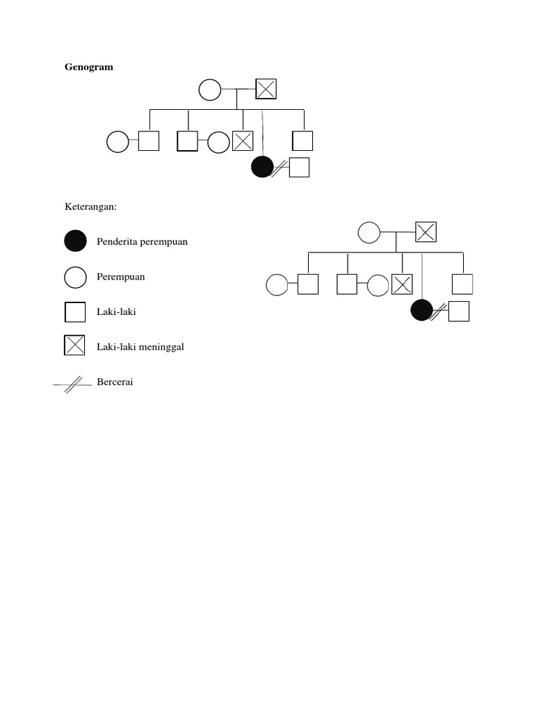 Genogram Keluarga dan Grafik Perjalanan Penyakit | PDF