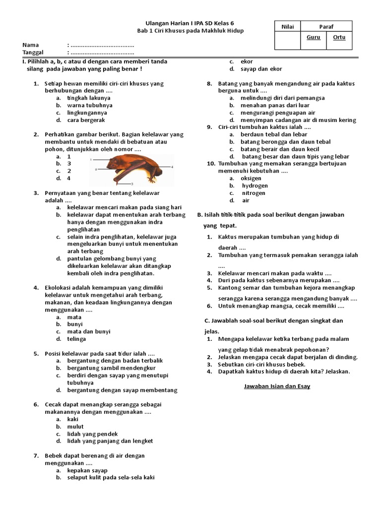 Soal Ulangan Harian Ipa Kelas 6 Bab 1 Ciri-Ciri Khusus Makhluk Hidup | PDF