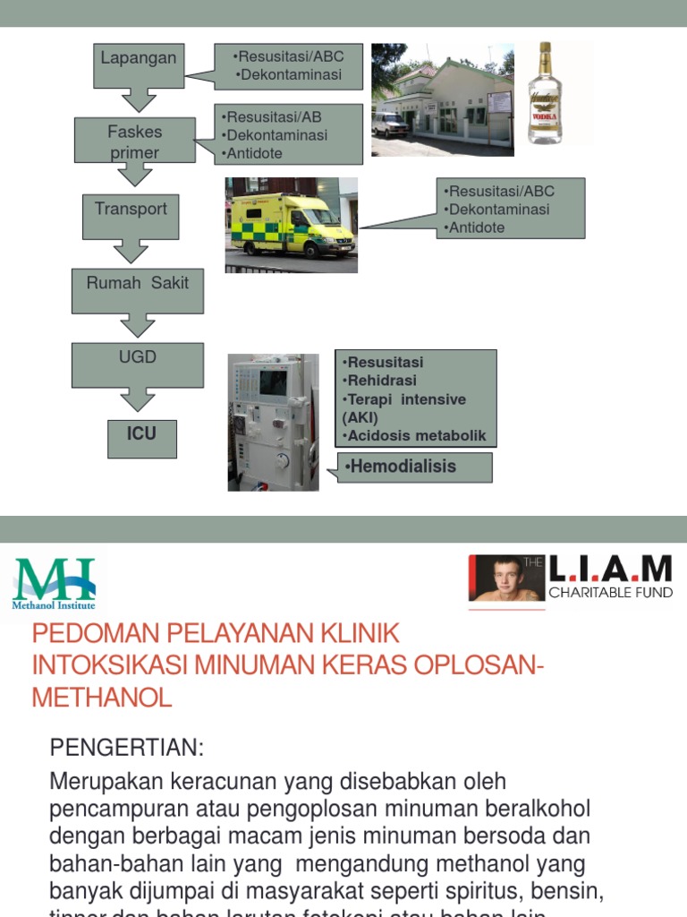 PPK-methanol Baru (Bu Ayu) | PDF