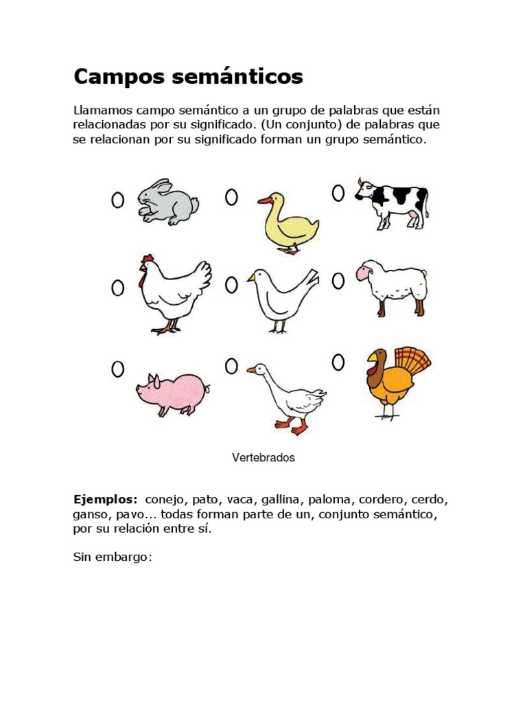 Ejemplos y Definición de Campos Semánticos | PDF | Palabra | Lingüística
