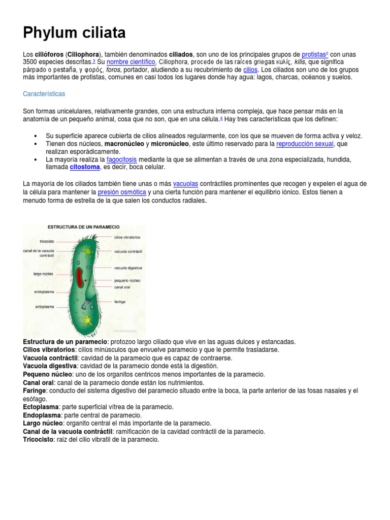 Estructura y características de ciliados | PDF | Protozoos | Algas
