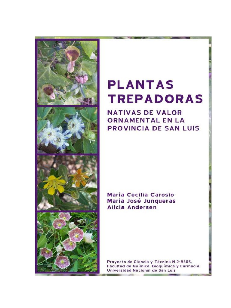 Plantas Trepadoras | PDF | Botánica | Horticultura y jardinería