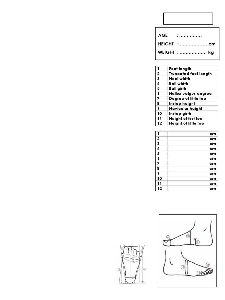 Food Anthropometric Measurement | PDF | Cooking, Food & Wine