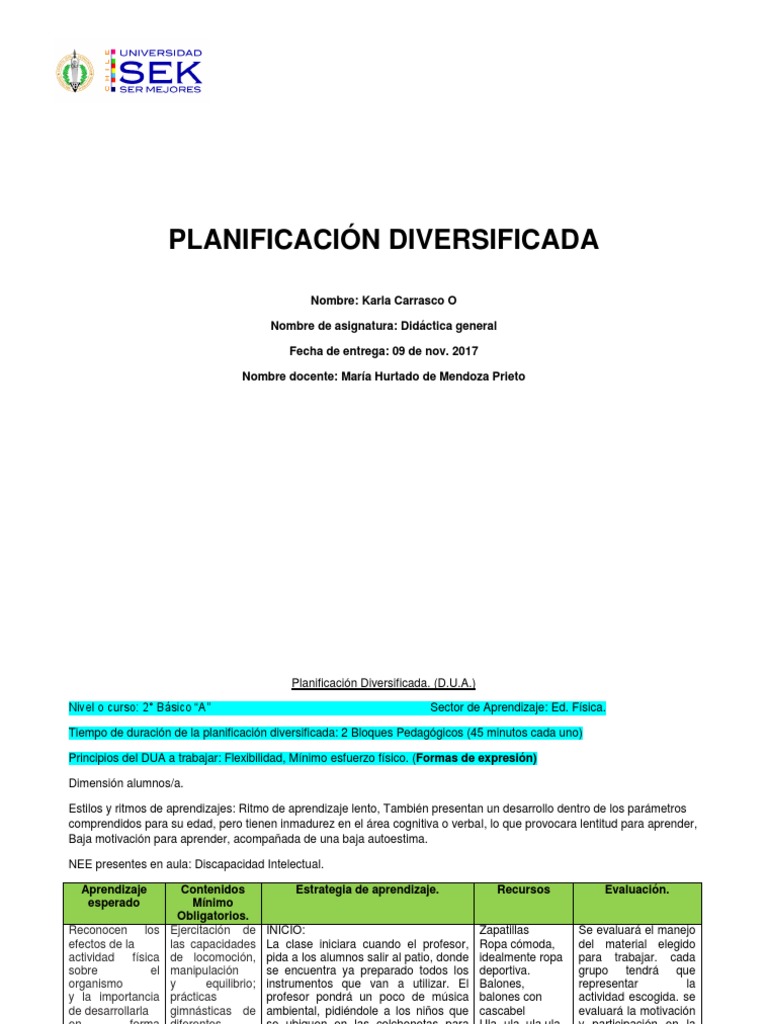 Planificacion de Aula Diversificada para Responder A La Diversidad-2 | Descargar gratis PDF ...