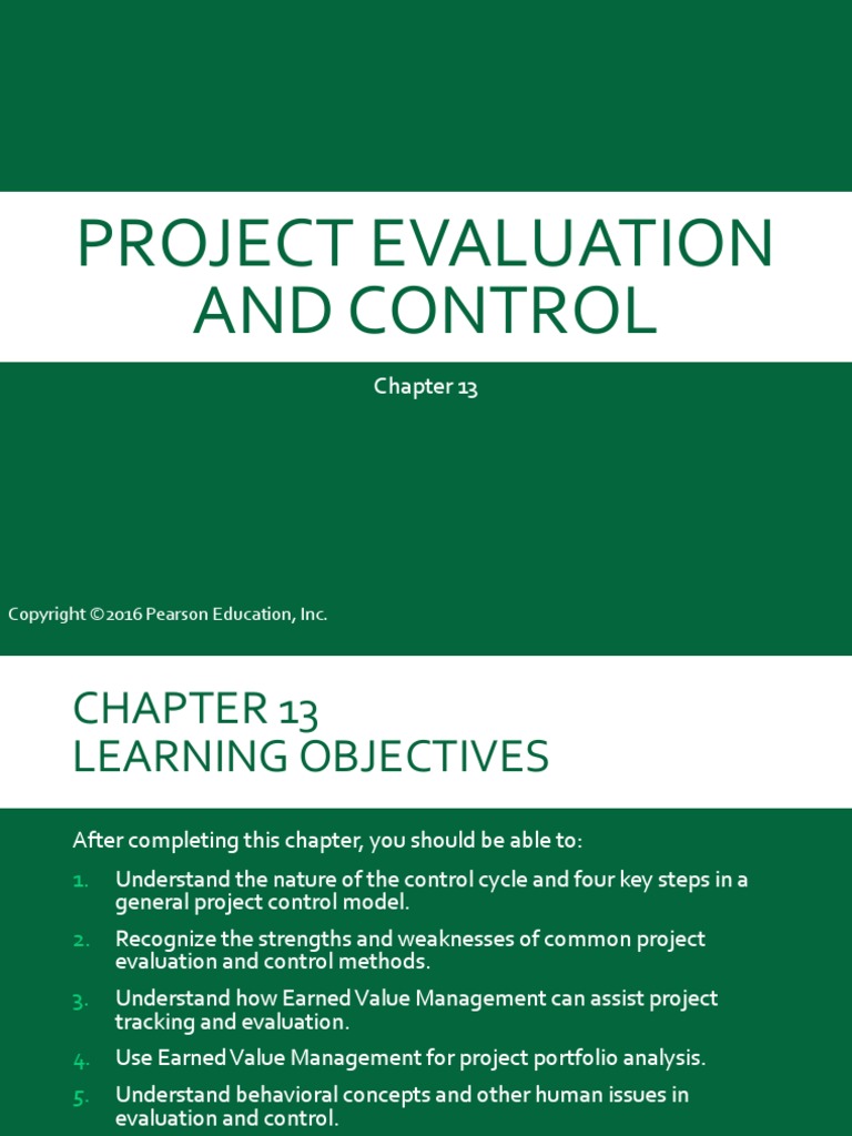 Pinto Pm4 Inppt 13-Pr | PDF | Psychological Concepts | Cognition