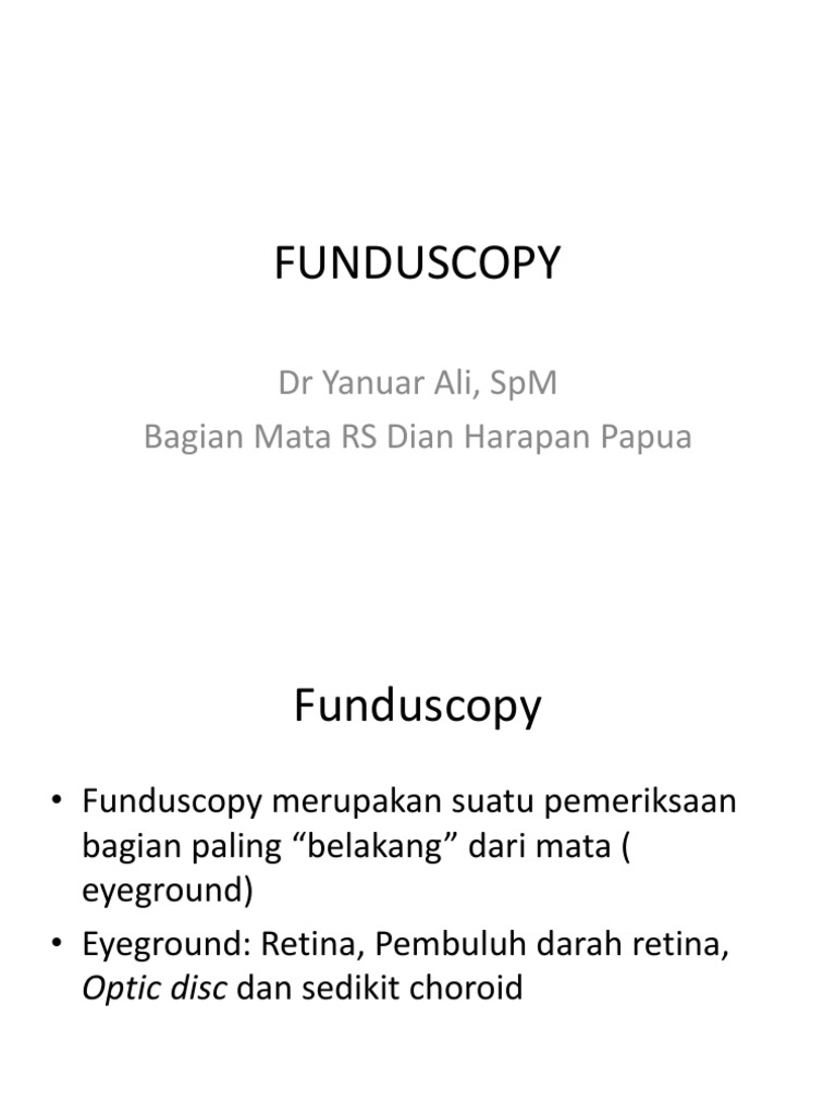 Fundus | PDF