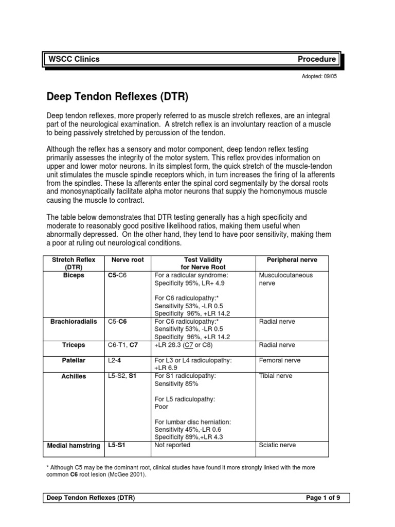 Deep Tendon Reflex Scale