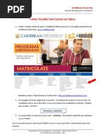 Guía de Usuario Canvas TECSUP | PDF