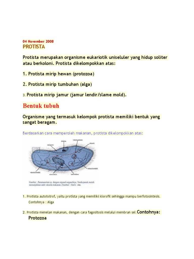 Protista | PDF