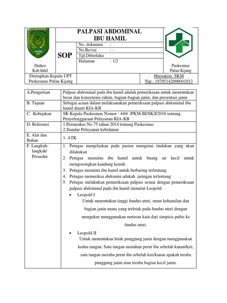 Sop Palpasi Abdomen | PDF